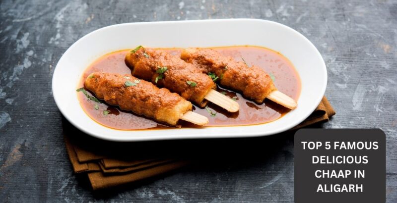 Top 5 Famous Delicious Chaap in Aligarh - Door Ka Tandoor
